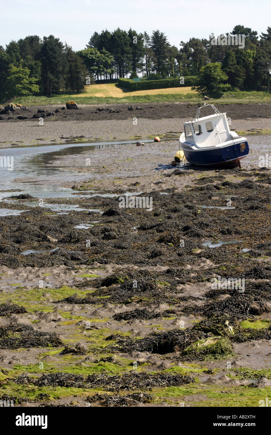 Boat stranded at low tide in Strangford Lough, County Down, Northern ...