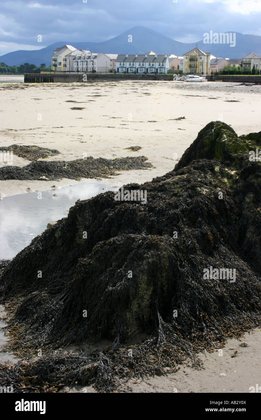 The seaside town of Dundrum, County Down, Northern Ireland Stock Photo ...