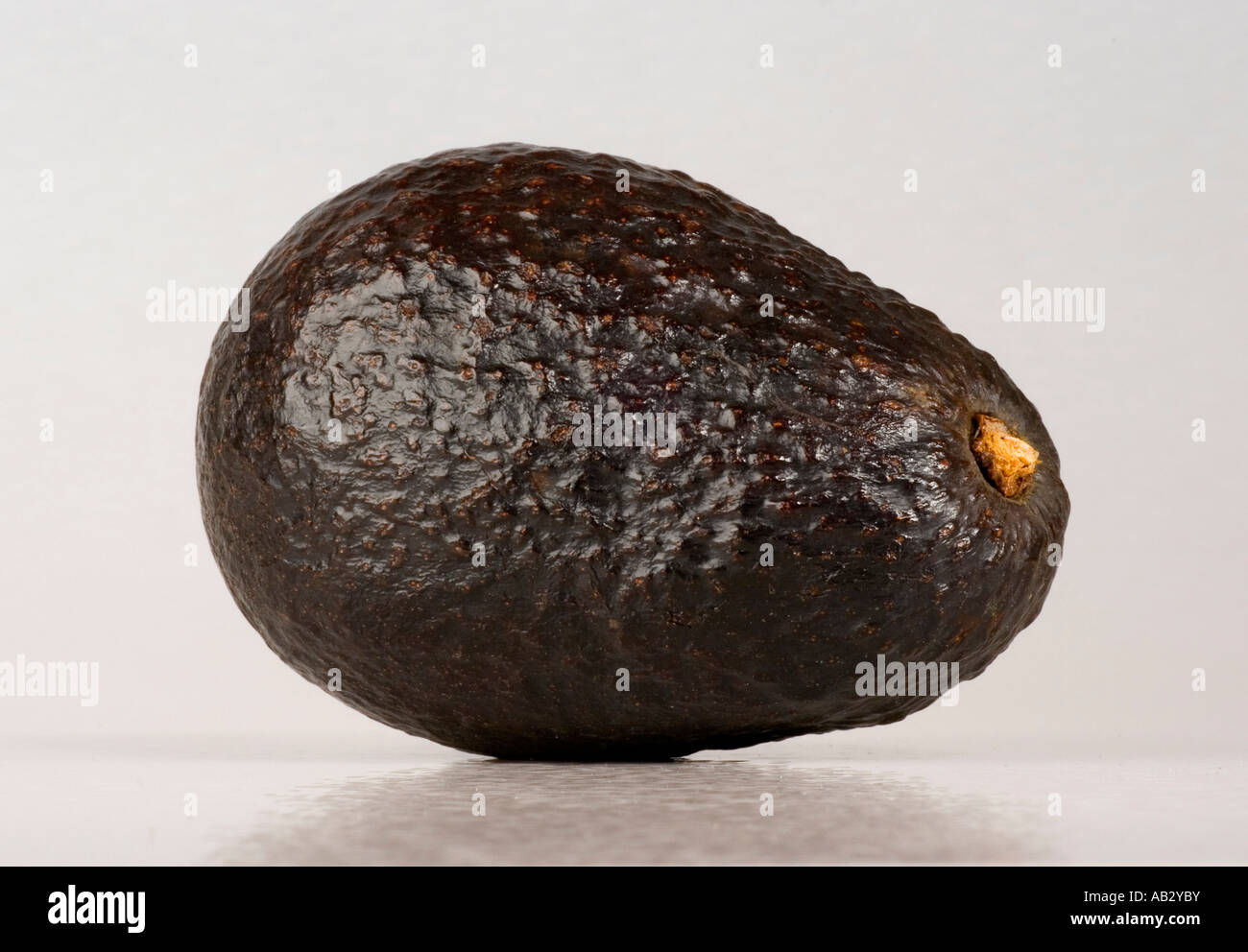Studio Shot of an Avocado on its side Stock Photo - Alamy
