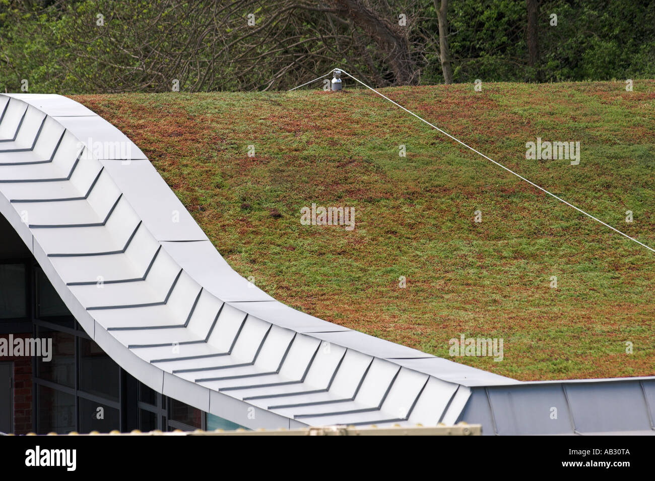 Now for something completely different, "the sloping grass roof", at ...