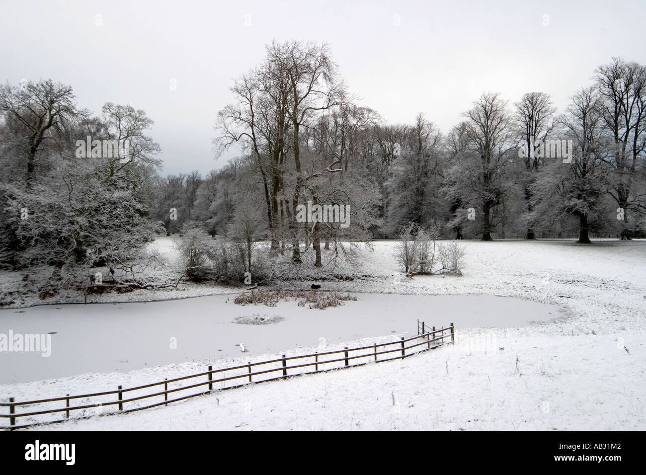 Winter landscape snowy trees hi-res stock photography and images - Alamy