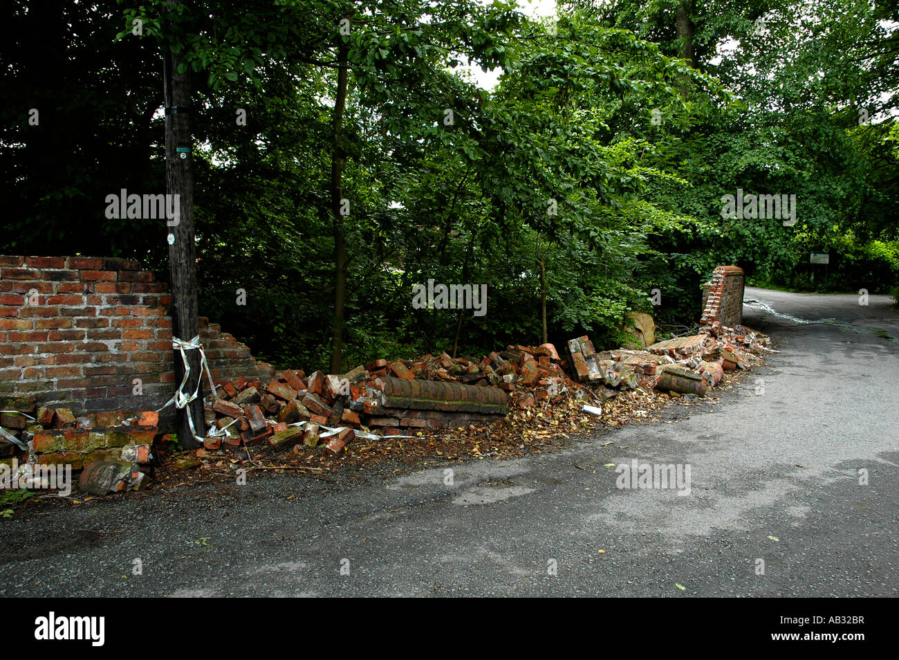 Wall demolished by Falling Tree Stock Photo - Alamy
