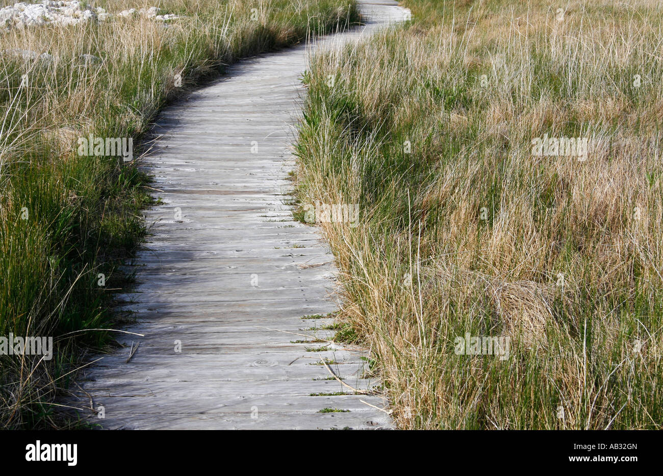 Path through grass Stock Photo - Alamy