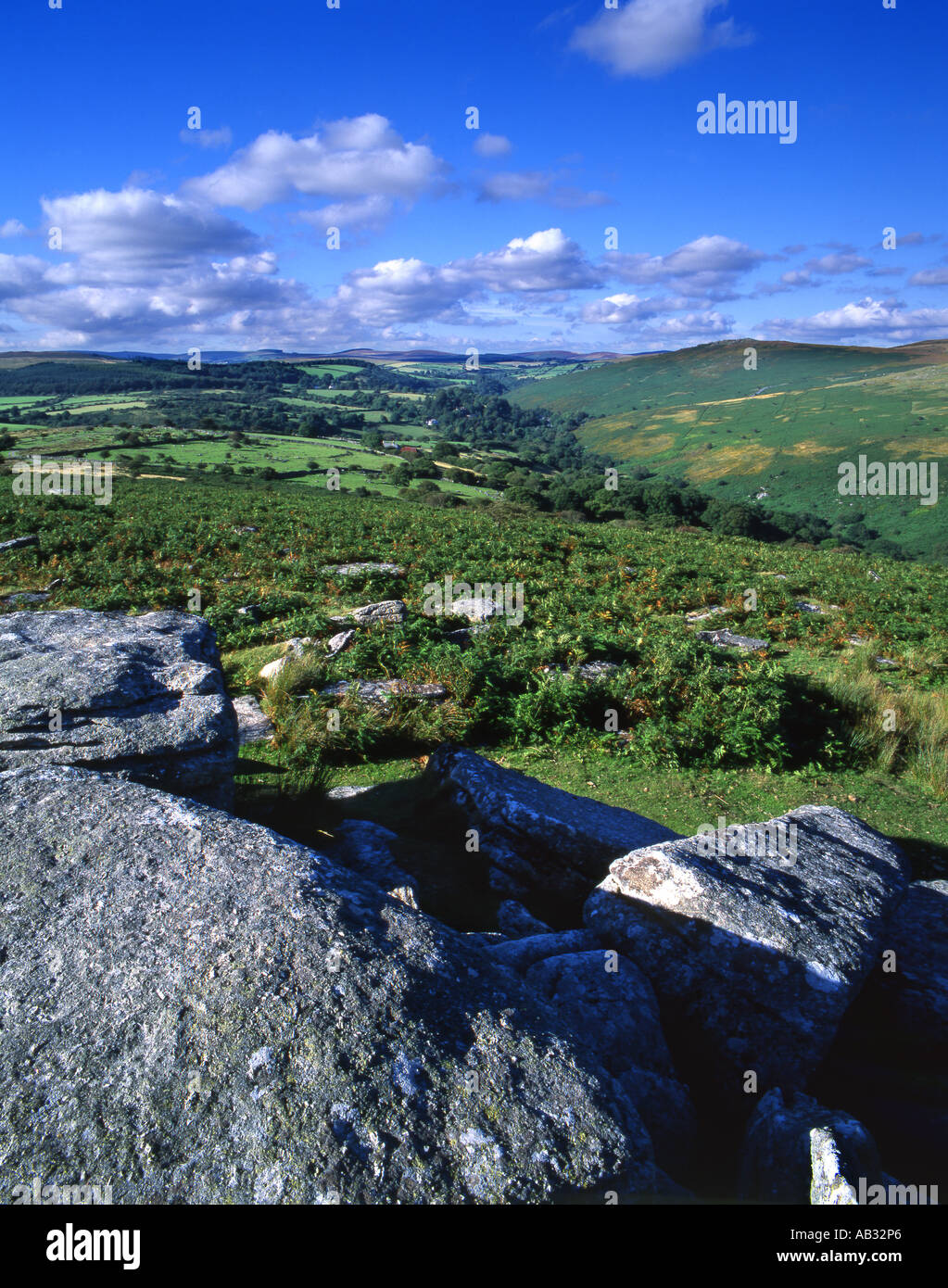 Combestone Tor Dartmoor Devon Stock Photo - Alamy