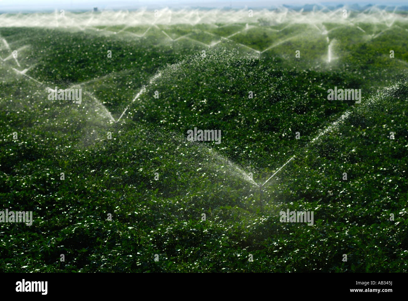 Israel desert farming irrigation hi-res stock photography and images ...