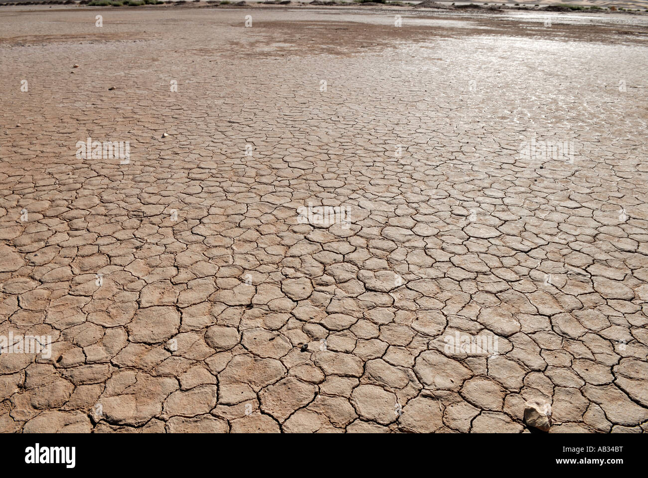 Parched land hi-res stock photography and images - Alamy