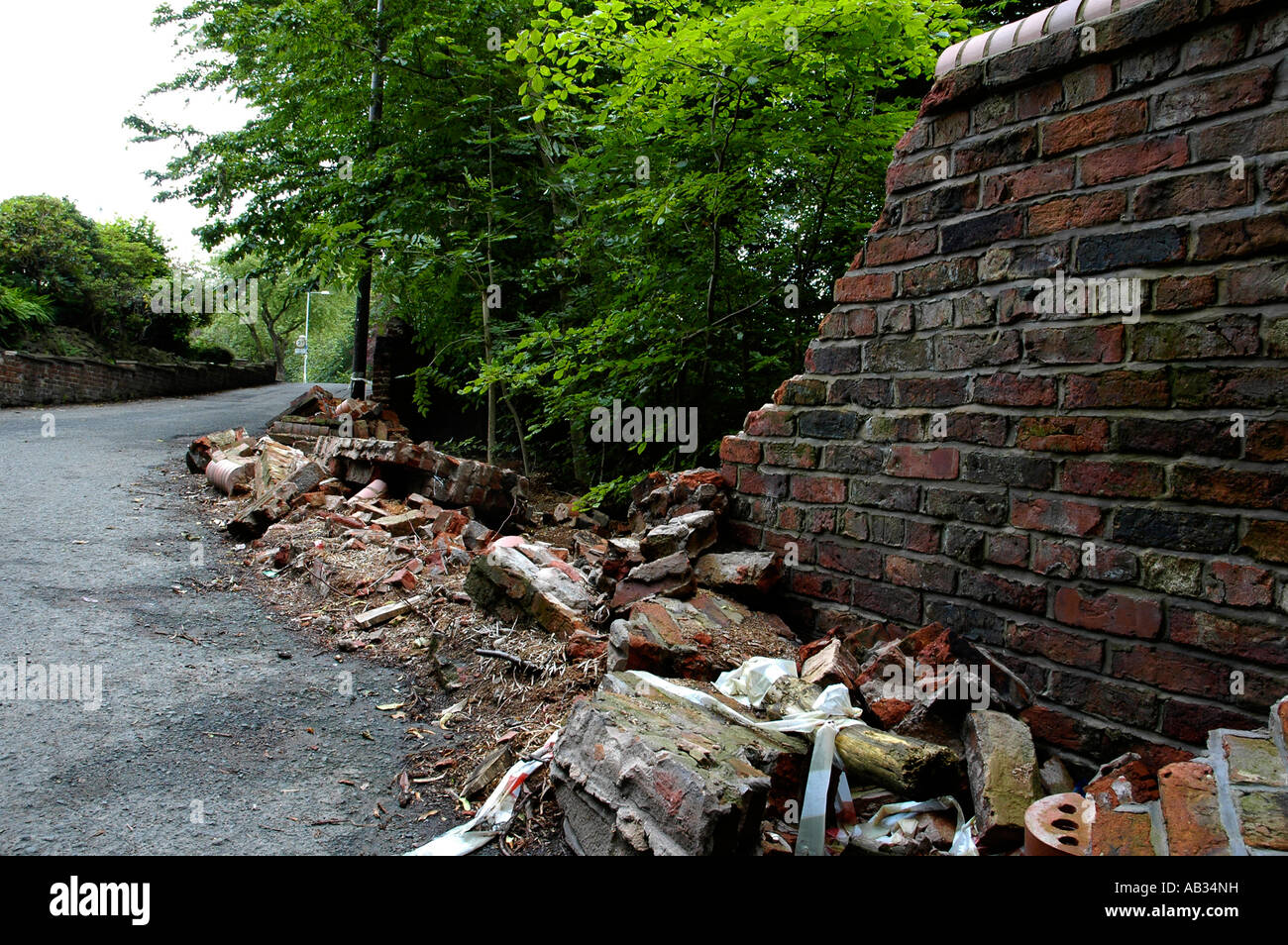 Wall Damaged By Falling Tree Stock Photo - Alamy