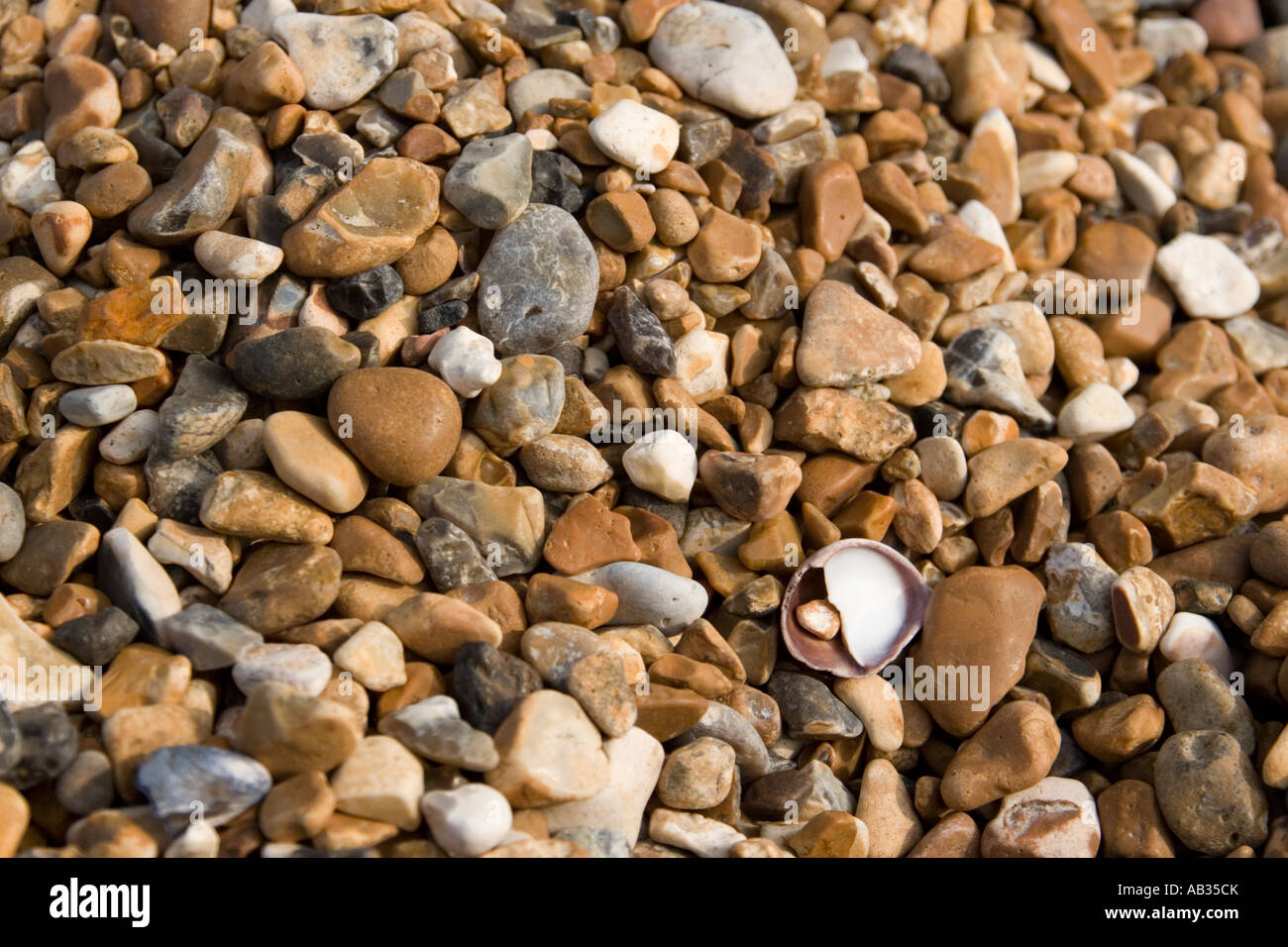 Pebbles on a beach Stock Photo - Alamy