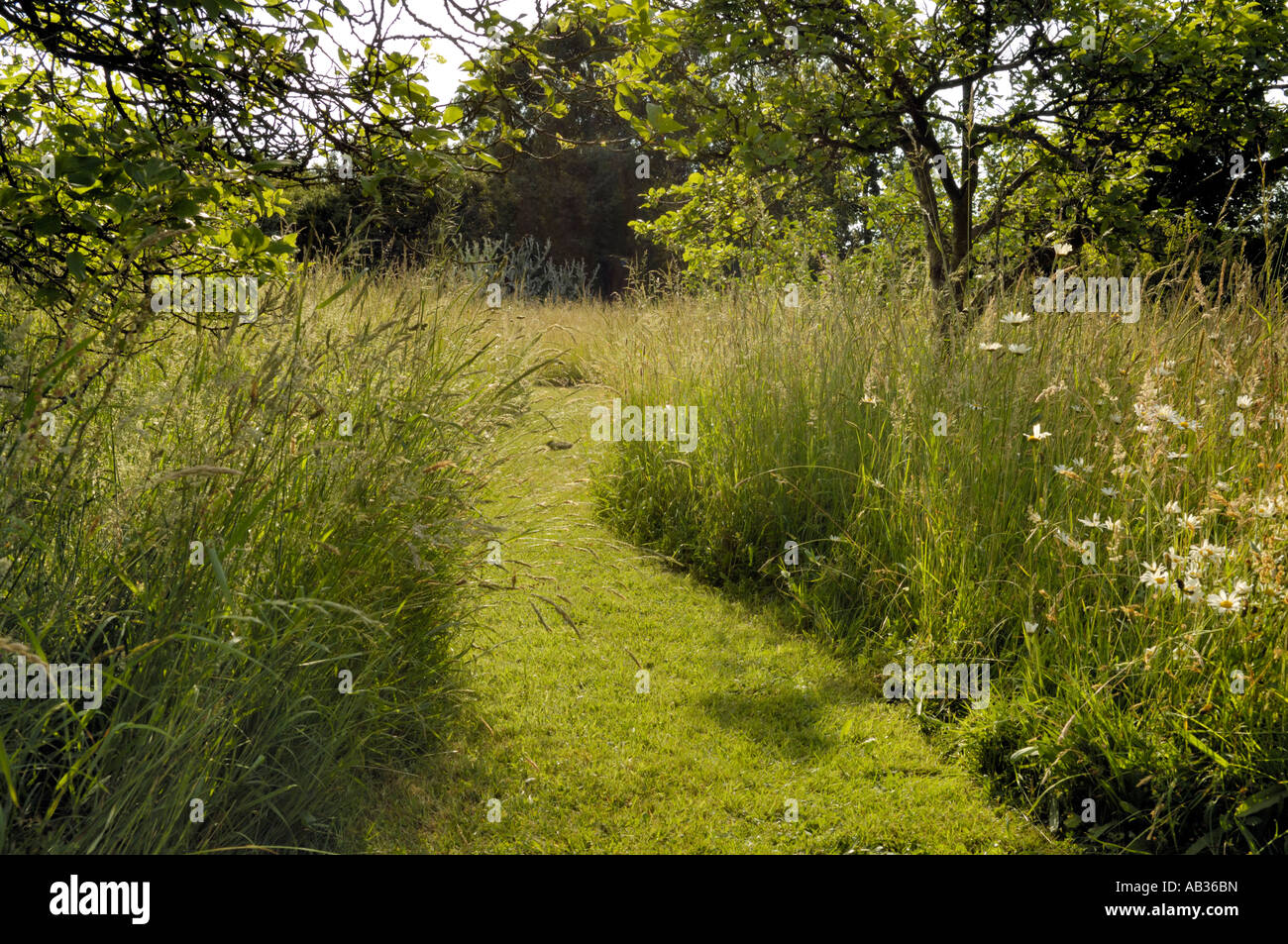 Mown grass pathway hi-res stock photography and images - Alamy