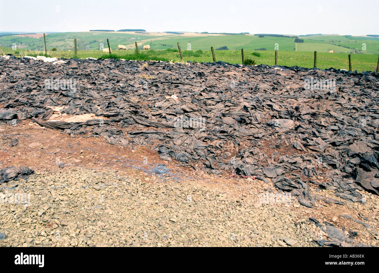 Used black plastic silage bags blowing on fence Trecastle Powys South ...
