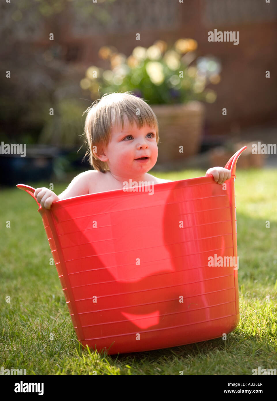 A young boy aged 18 months plays by himself in a giant red bucket in ...