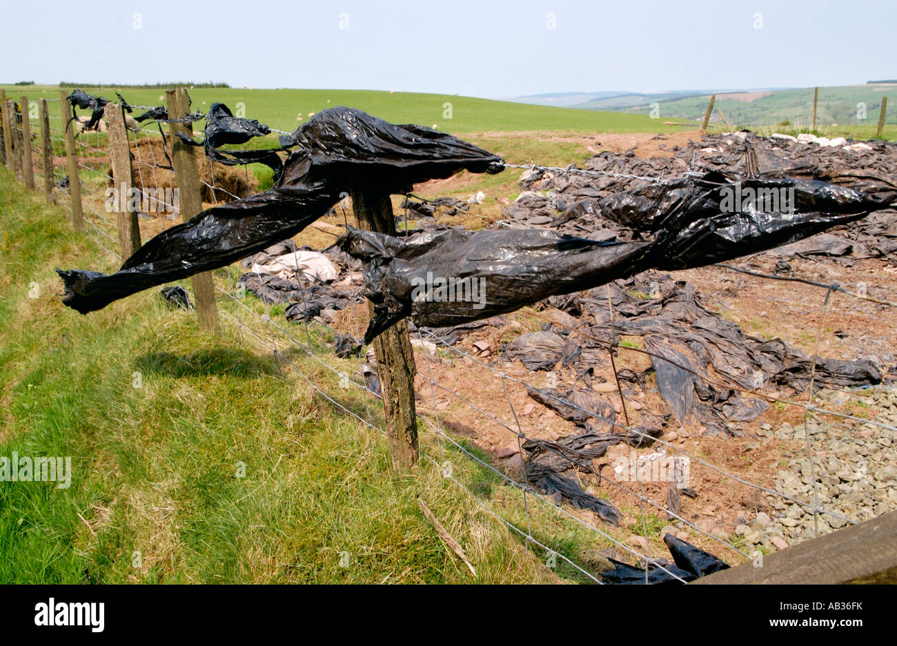 Used black plastic silage bags blowing on fence Trecastle Powys South ...