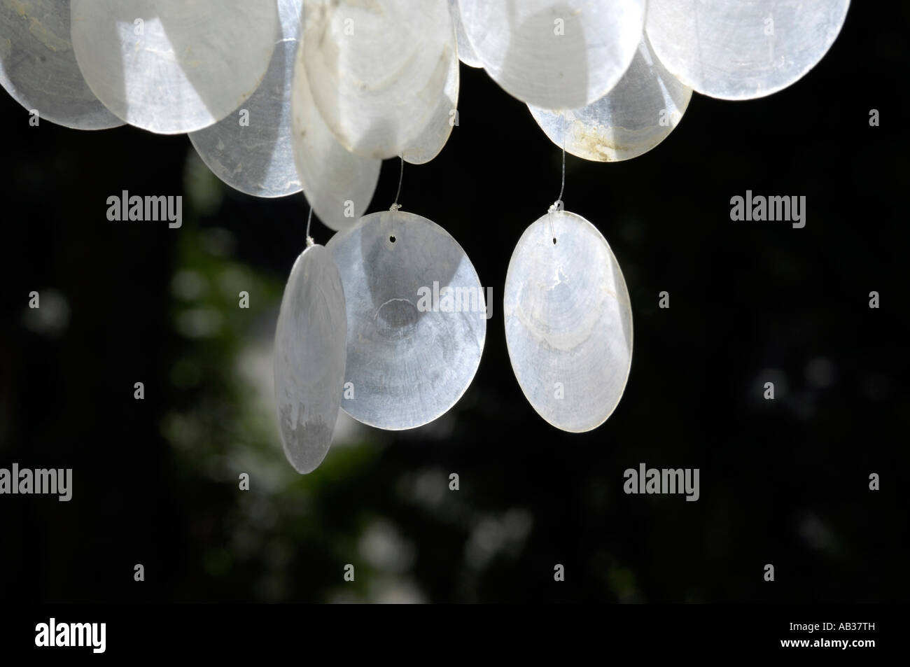 wind chime mobile ornament natural vertical shell Stock Photo - Alamy
