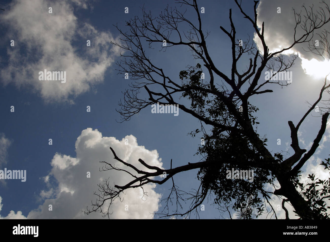 Hideous landscape hi-res stock photography and images - Alamy