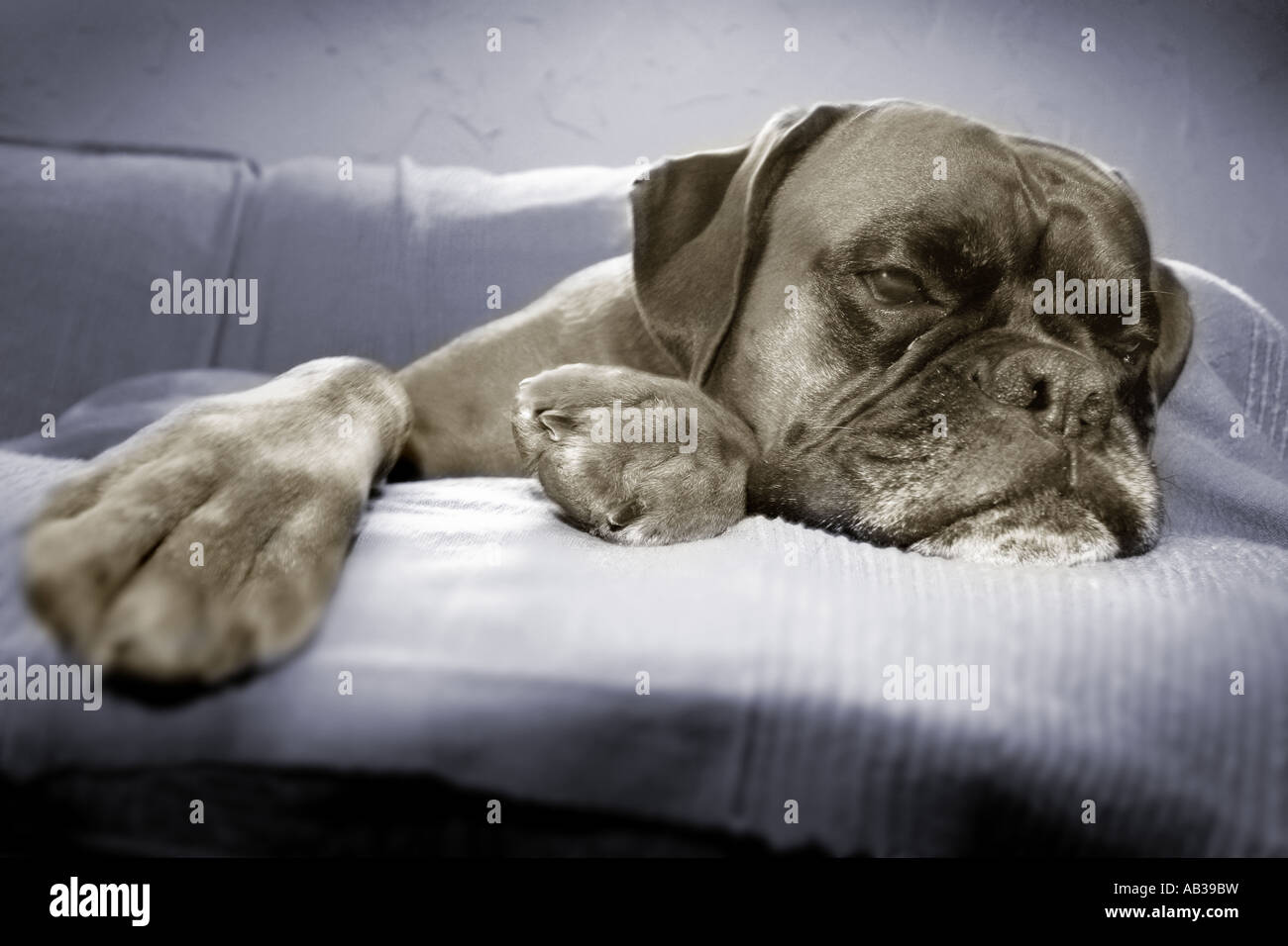 Tyred hi-res stock photography and images - Alamy