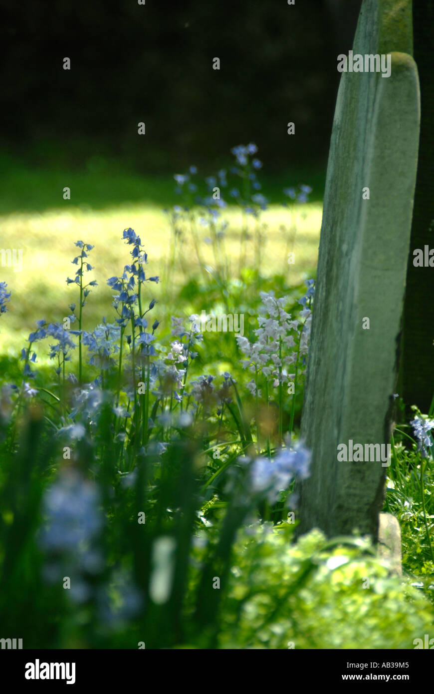 John bunyan grave hi-res stock photography and images - Alamy