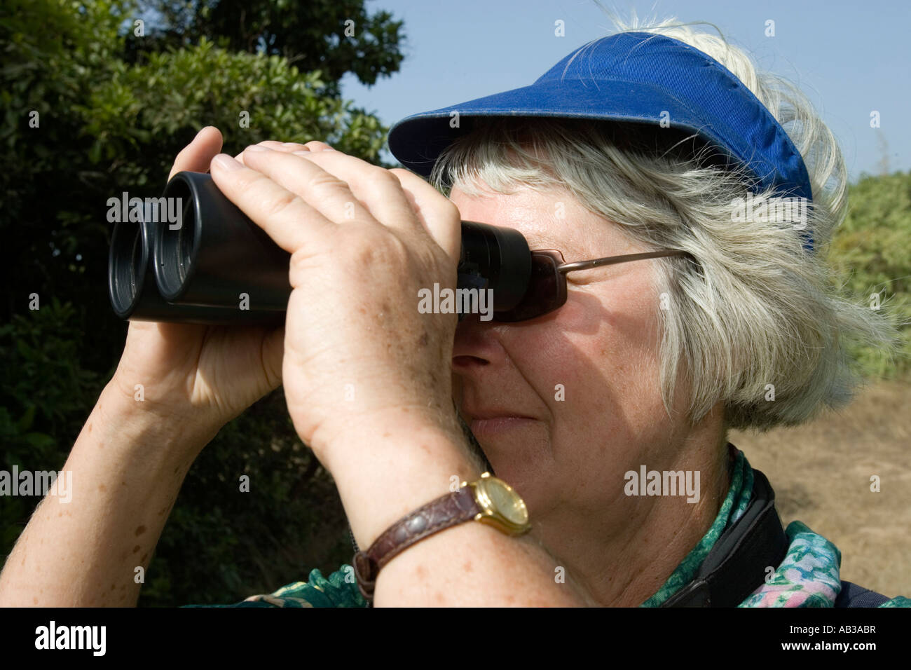 Woman bird watcher with binoculars spotting migratory and local species ...