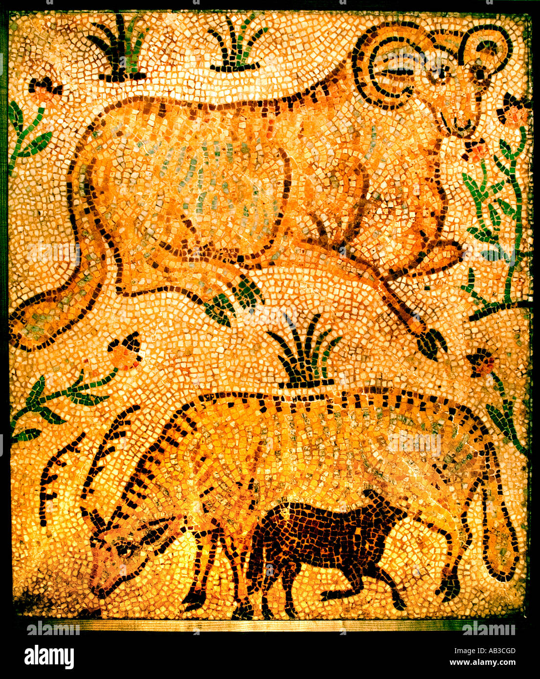 Ancient Roman Mosaic Floor High Resolution Stock Photography and Images ...