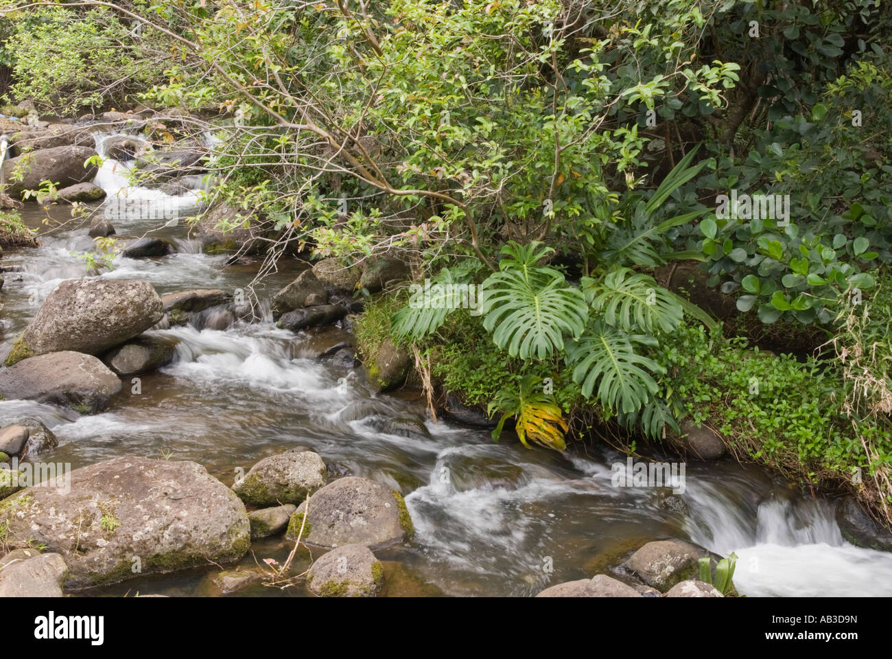 Limahuli Stream Limahuli Garden and Preserve National Tropical ...