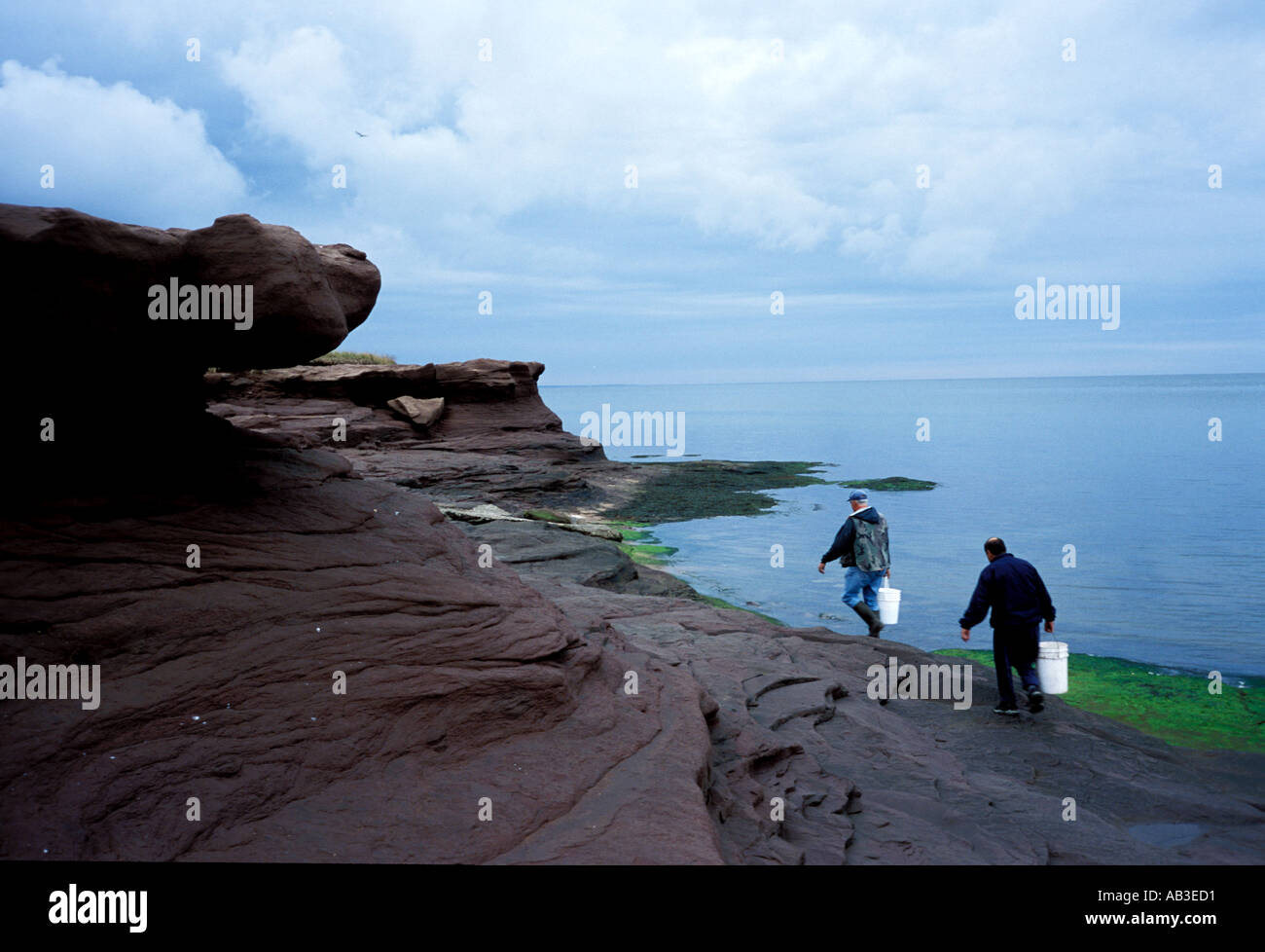 Clam digging hi-res stock photography and images - Alamy