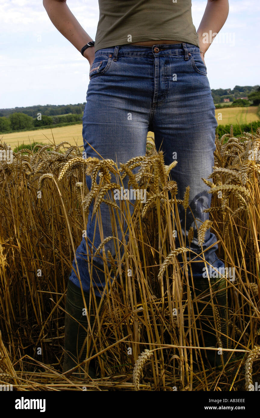 Standing in Corn field Stock Photo - Alamy