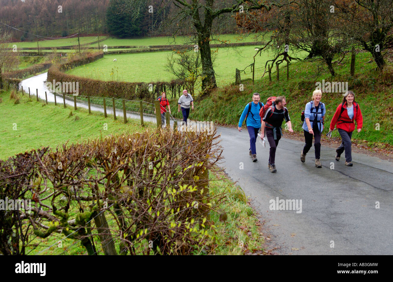 Group of walkers on country road near Llanwrtyd Wells Powys Wales UK ...
