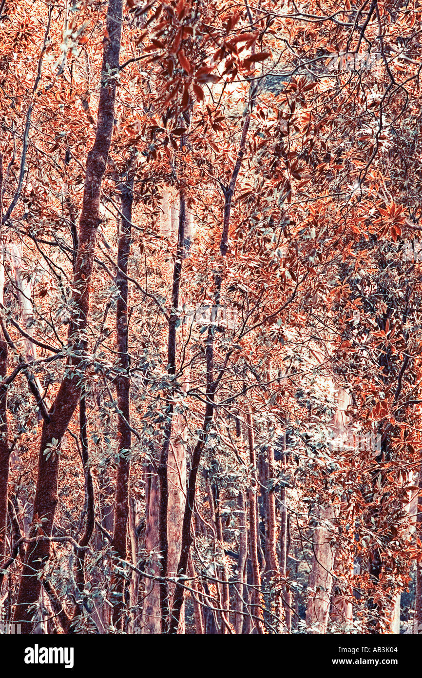 Abstracted color hi-res stock photography and images - Alamy