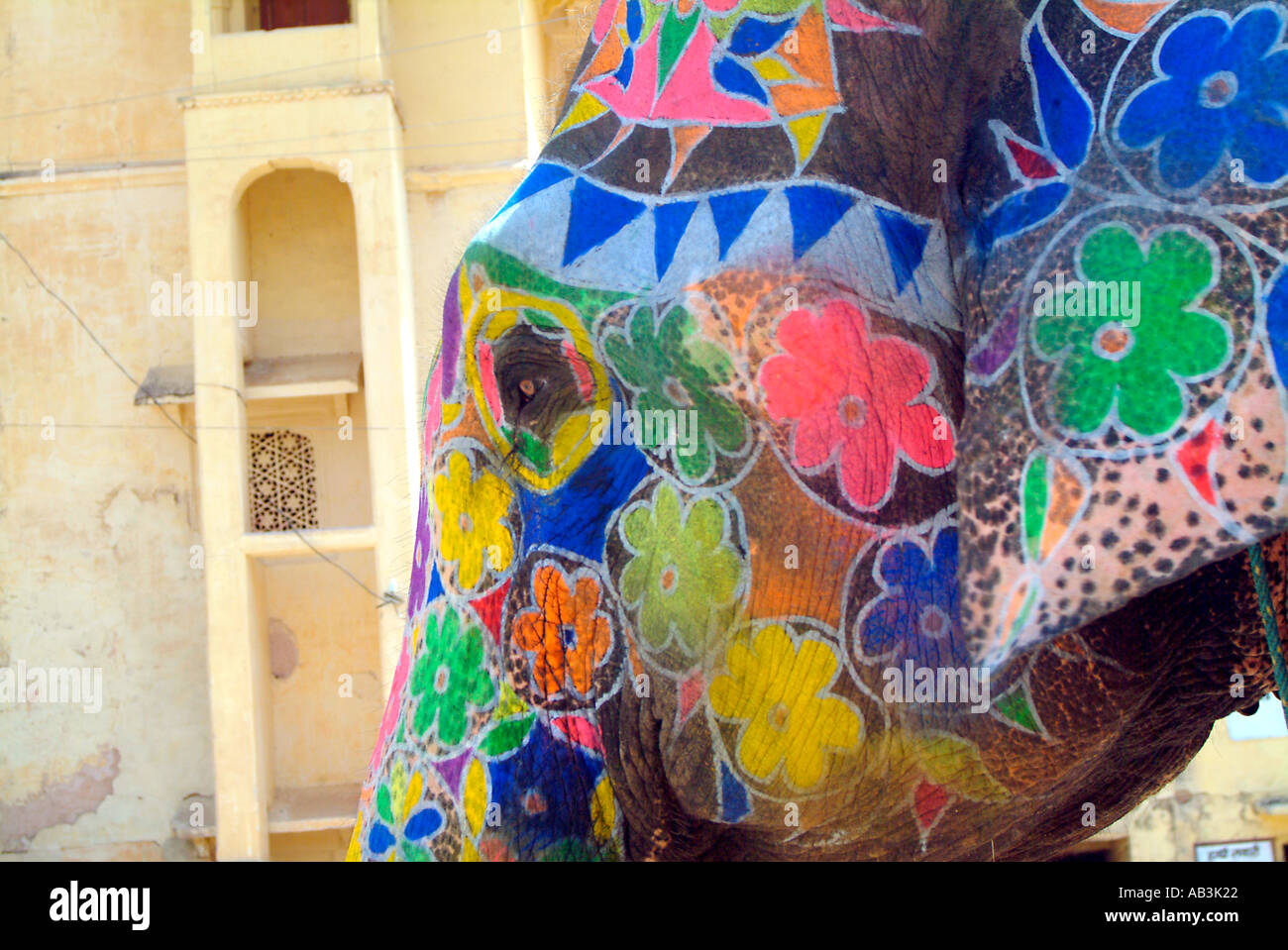 Brightly coloured elephant Amber fort Jaipur India Stock Photo - Alamy