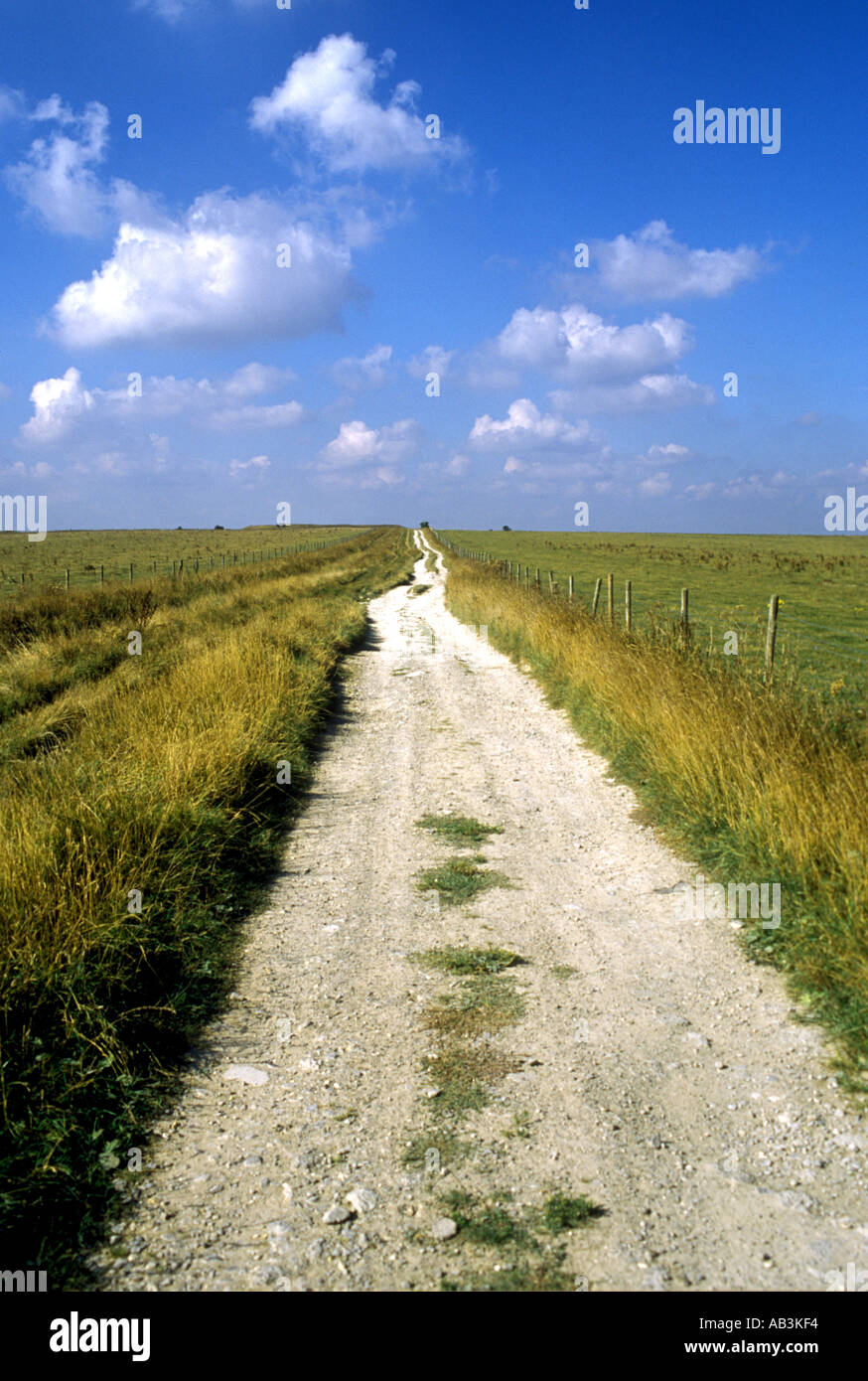 Plain bridle hi-res stock photography and images - Alamy