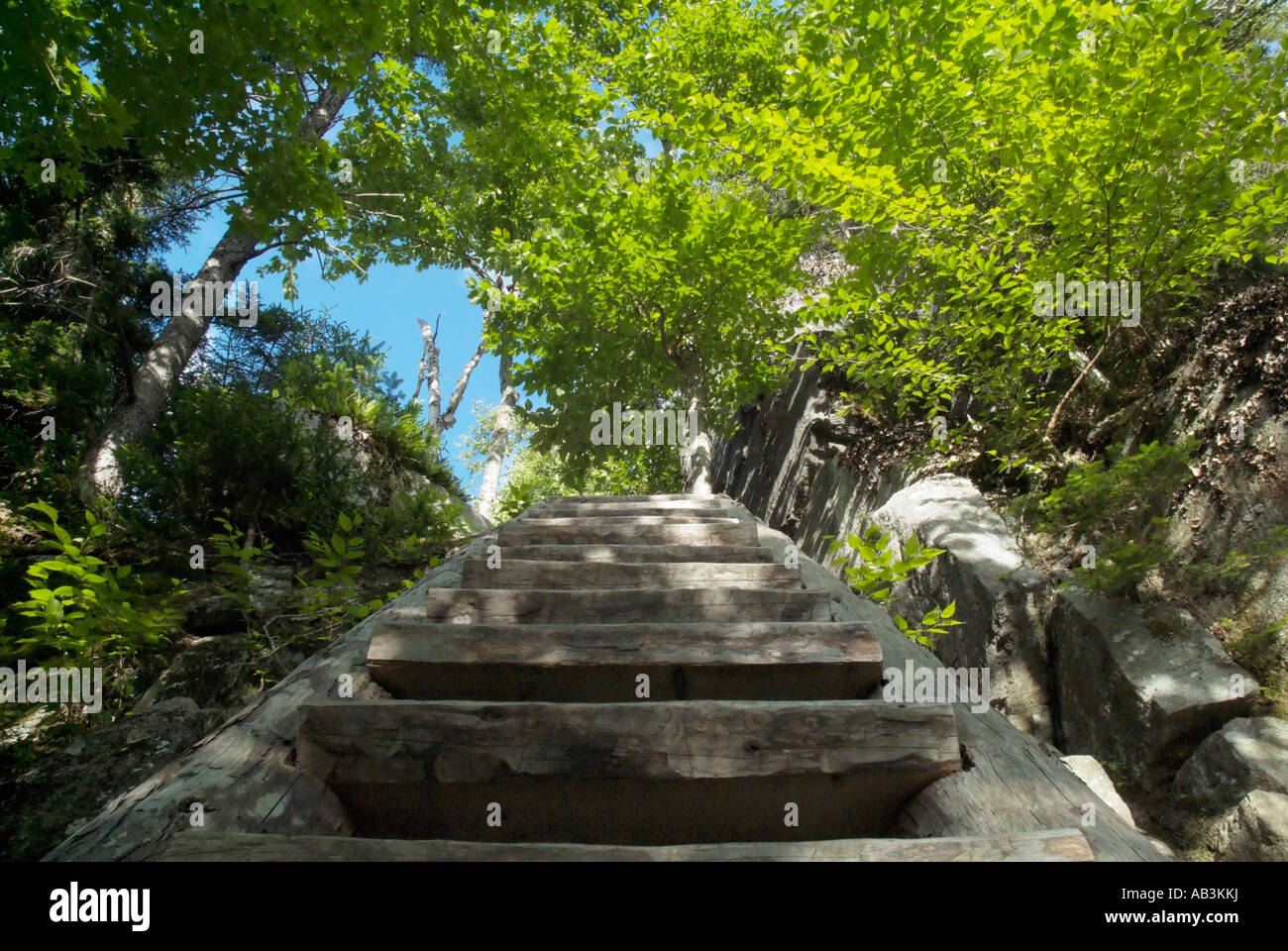 A wooden trail staircase along Boott Spur Trail during the summer ...