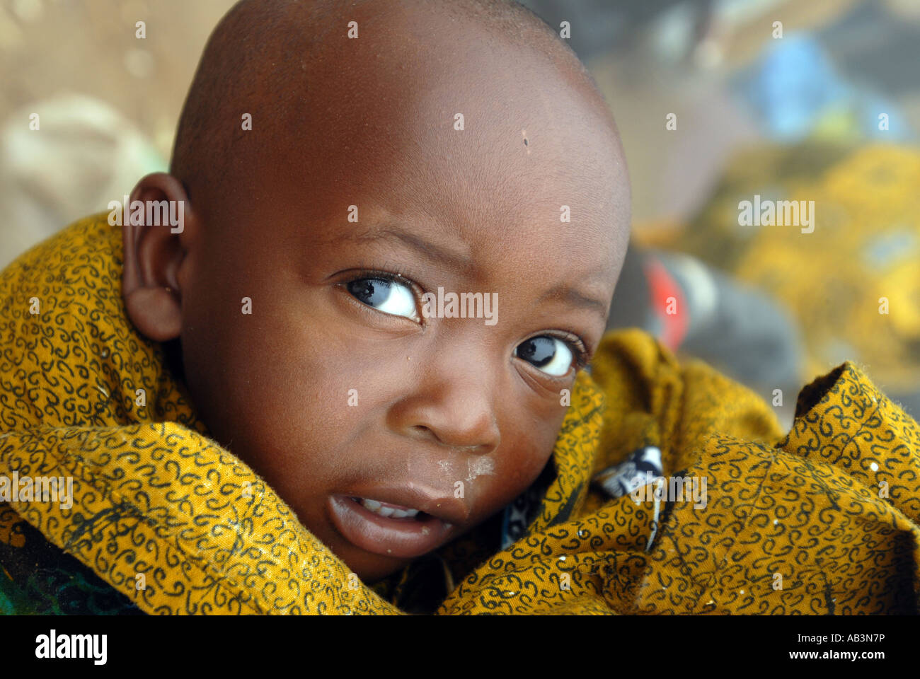 Uluguru hi-res stock photography and images - Alamy