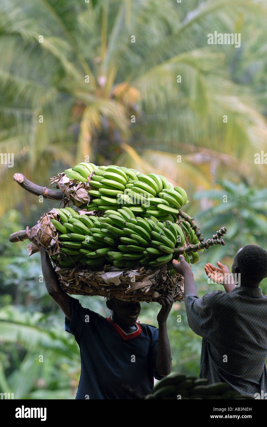 Banana farmers in Tanzania Stock Photo - Alamy