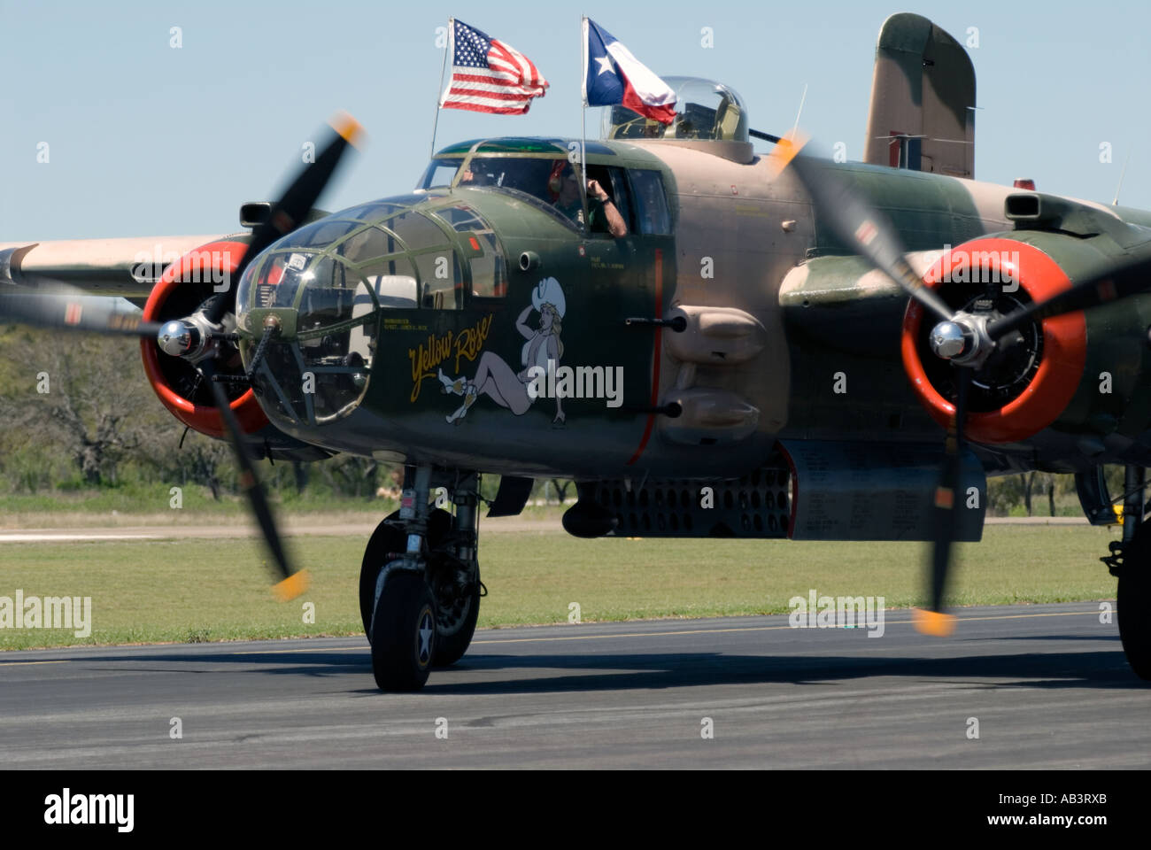 B Mitchell Yellow Rose