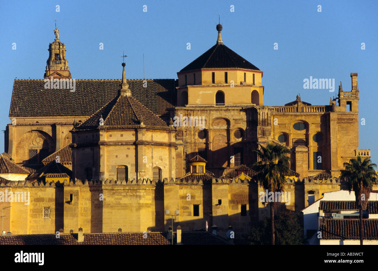 Mosque cathedral cordoba in hi-res stock photography and images - Alamy