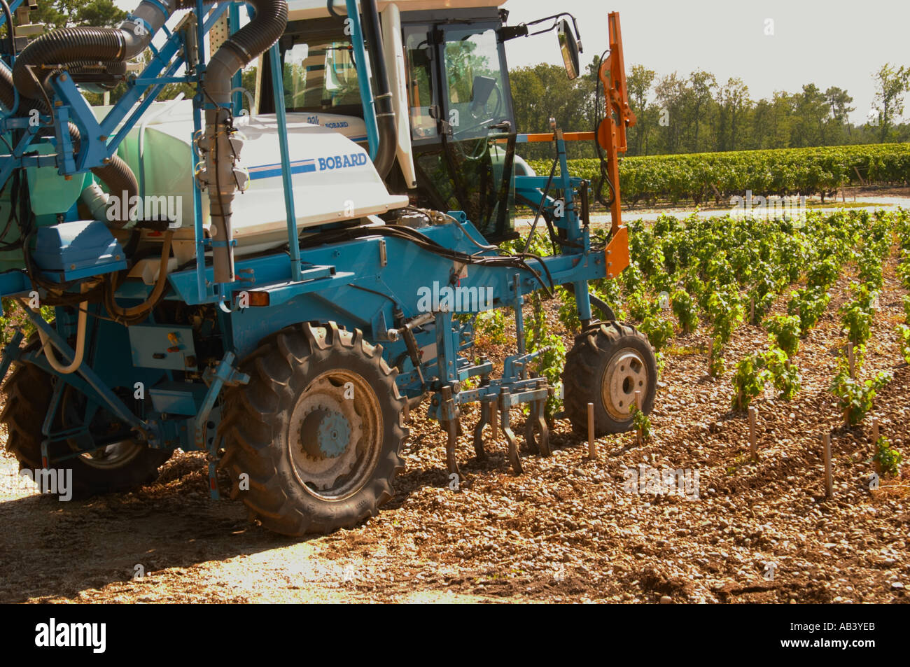 A vineyard tractor equipped with claws to work the soil and remove weed ...