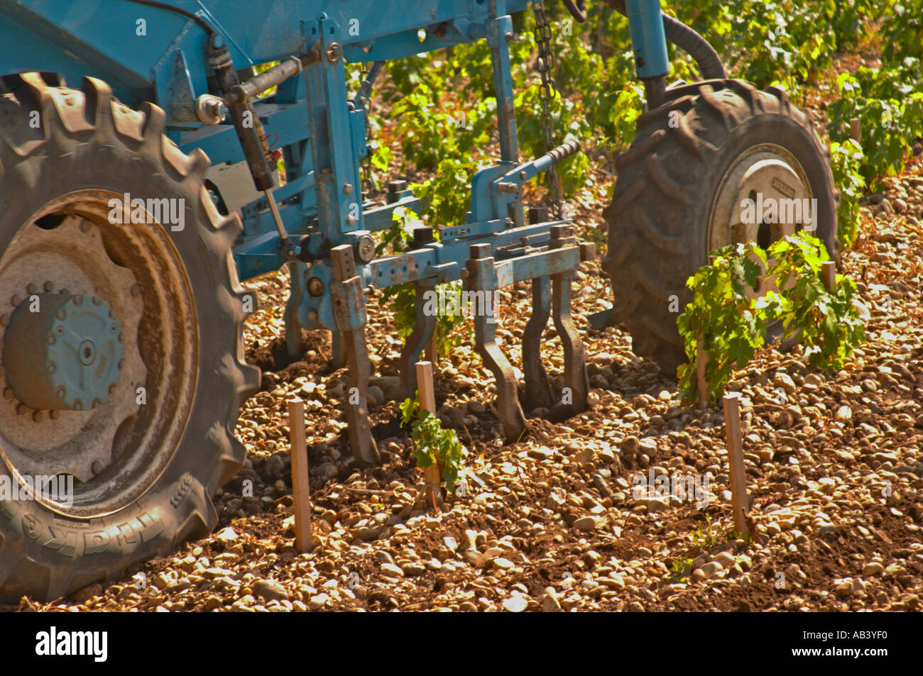 A vineyard tractor equipped with claws to work the soil and remove weed ...