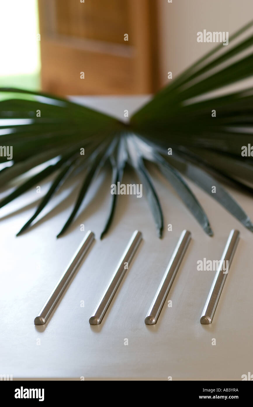 GRAPHIC SHOT OF PALM LEAF ON CLEAN WHITE KITCHEN SURFACE INTERLEAVED ...