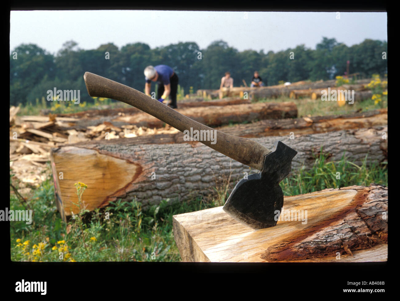 An Old English logging axe used to cut and shape wood in the process of ...