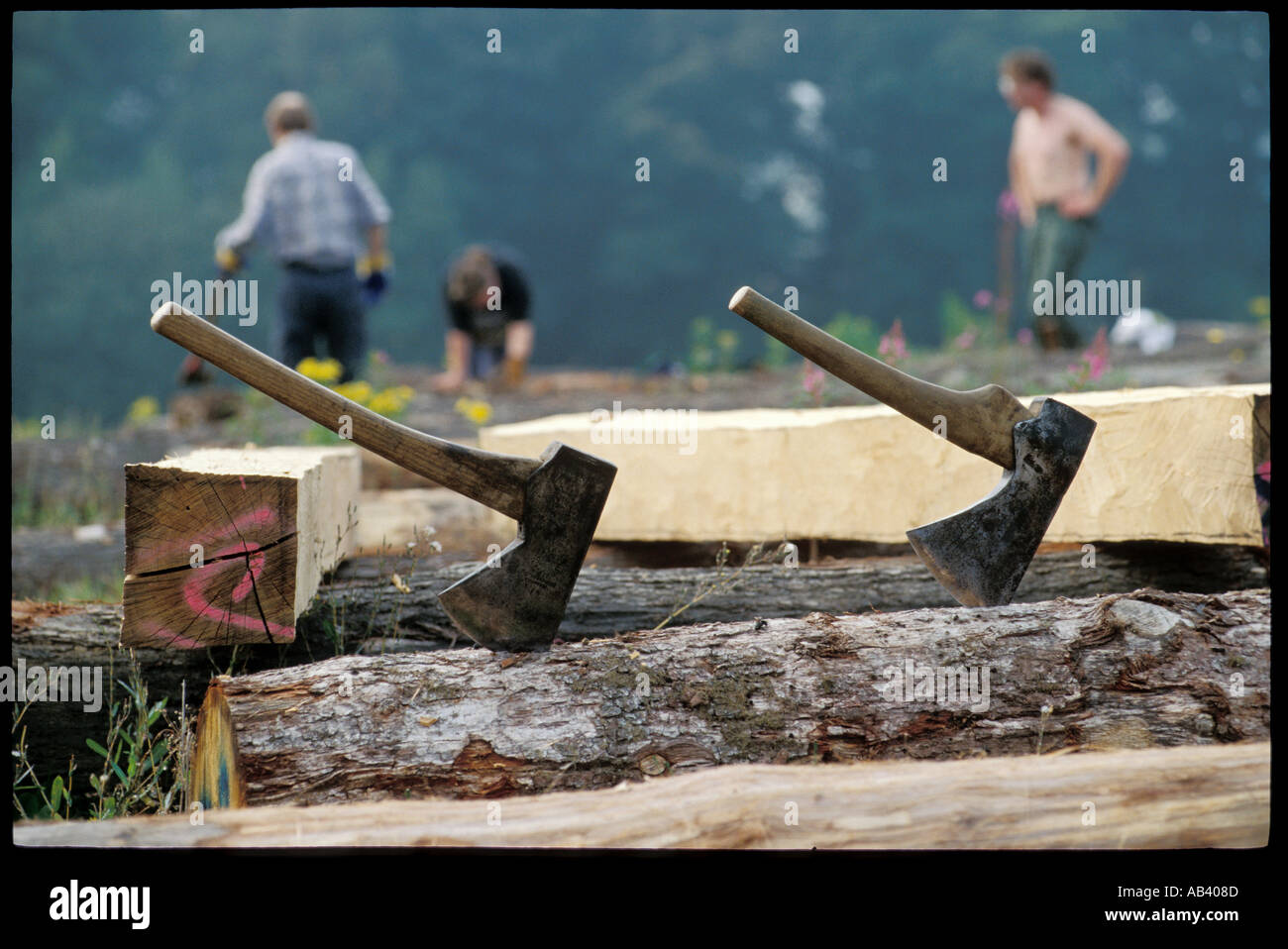 A pair of Old English logging axes used to cut and shape wood in the ...