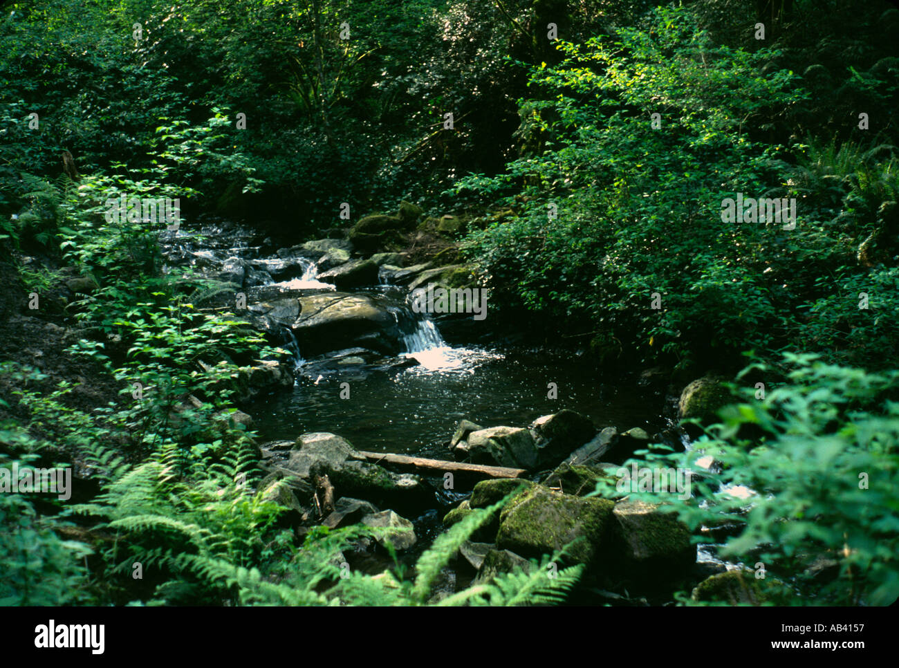 Marshall Park in Portland Oregon USA Stock Photo - Alamy