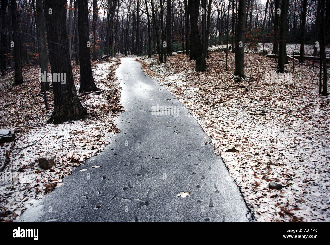 Icy pathway leading into woods Stock Photo - Alamy