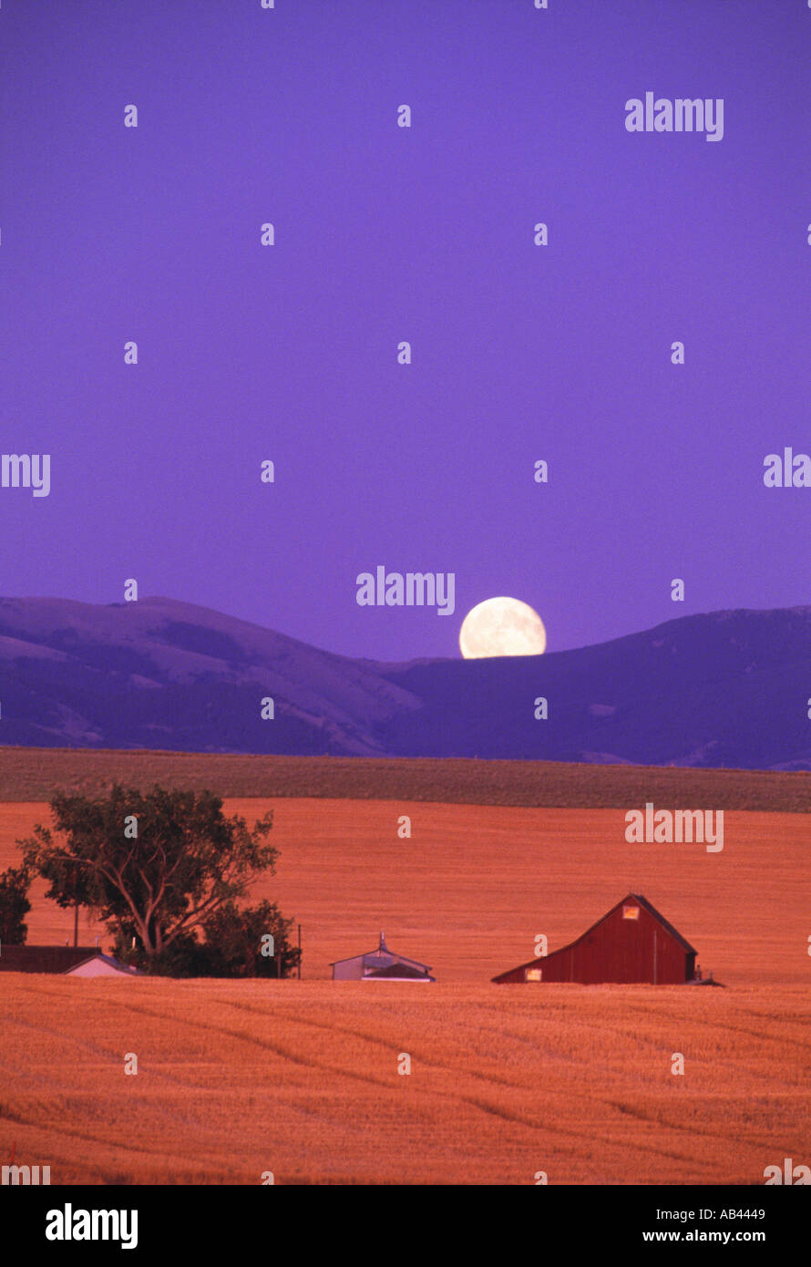 Growing moons hi-res stock photography and images - Alamy