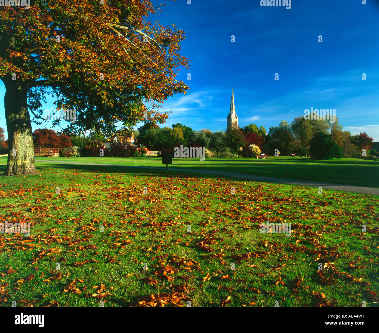 Elizabeth of salisbury hi-res stock photography and images - Alamy