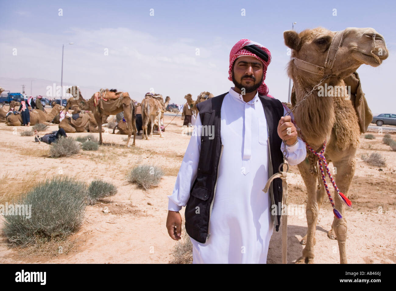 The camel races at Palmyra SYRIA Stock Photo - Alamy