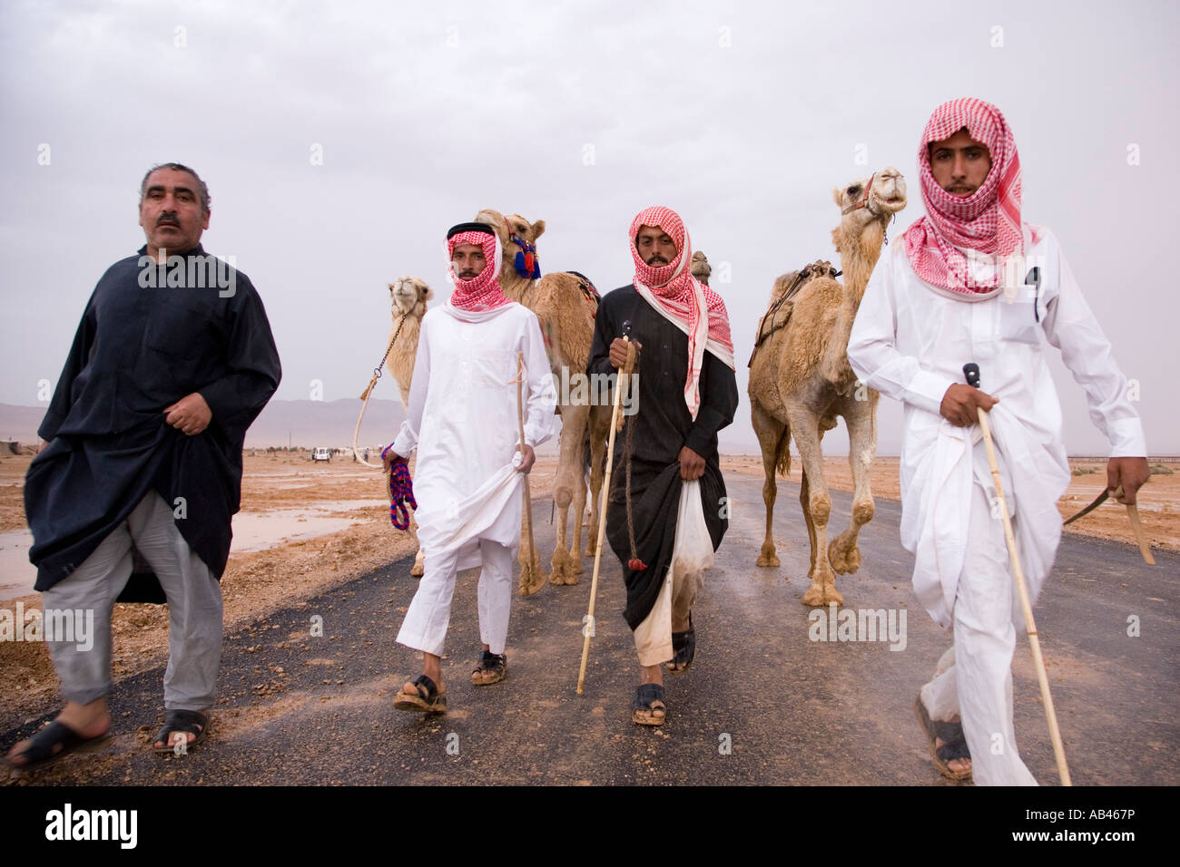 Wet camel hi-res stock photography and images - Alamy