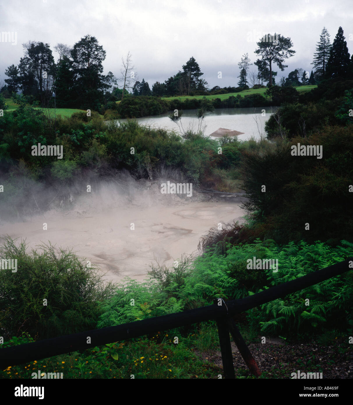 Hot mud pools Rotorua north island New Zealand Stock Photo - Alamy
