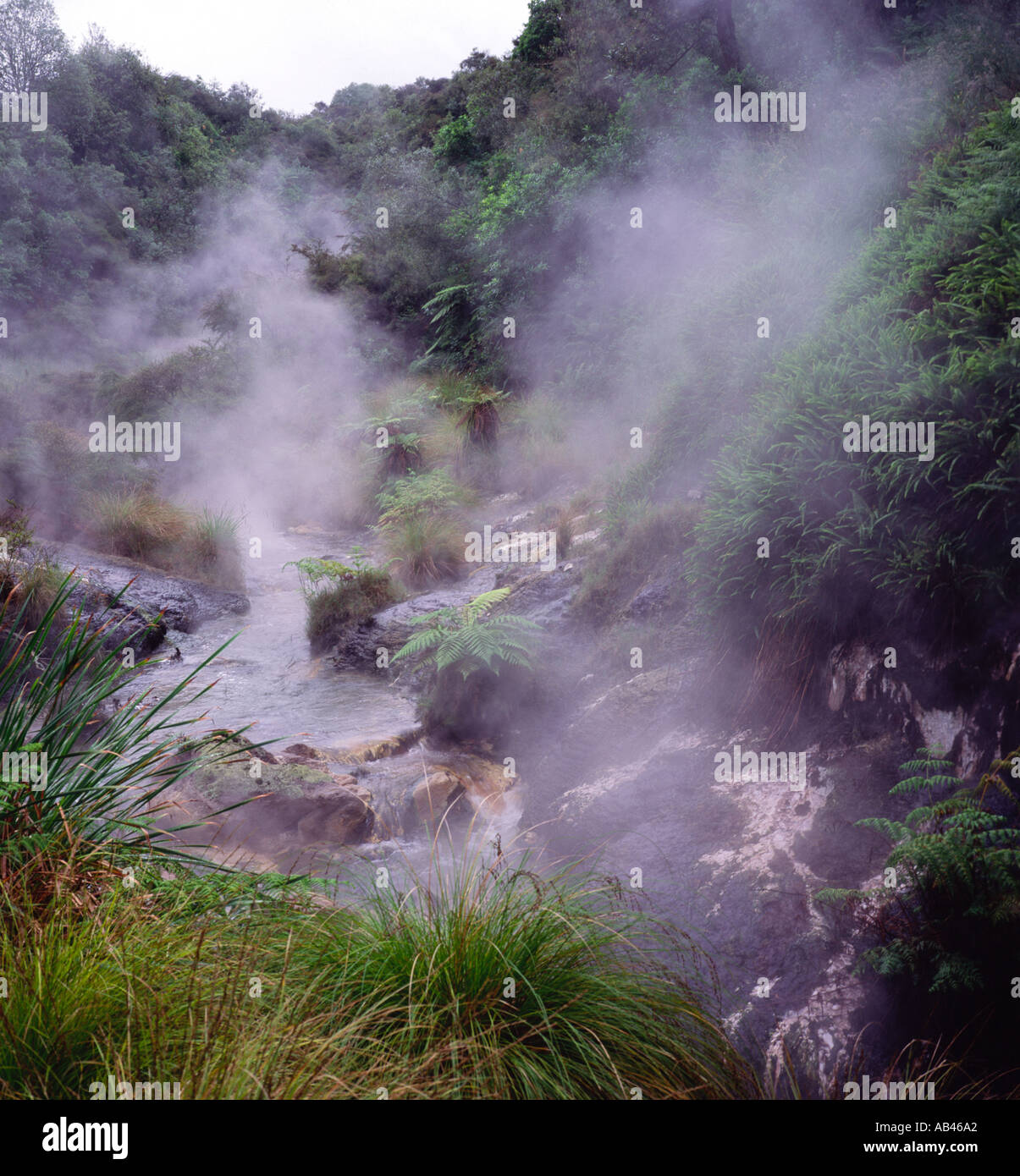 Geo thermal activity hi-res stock photography and images - Alamy