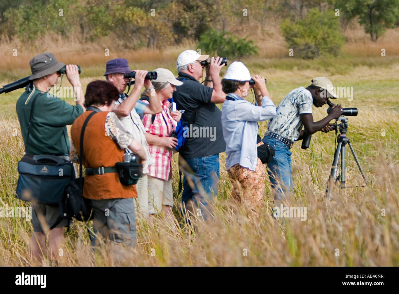 Guide looks for different species to show visiting bird watchers ...