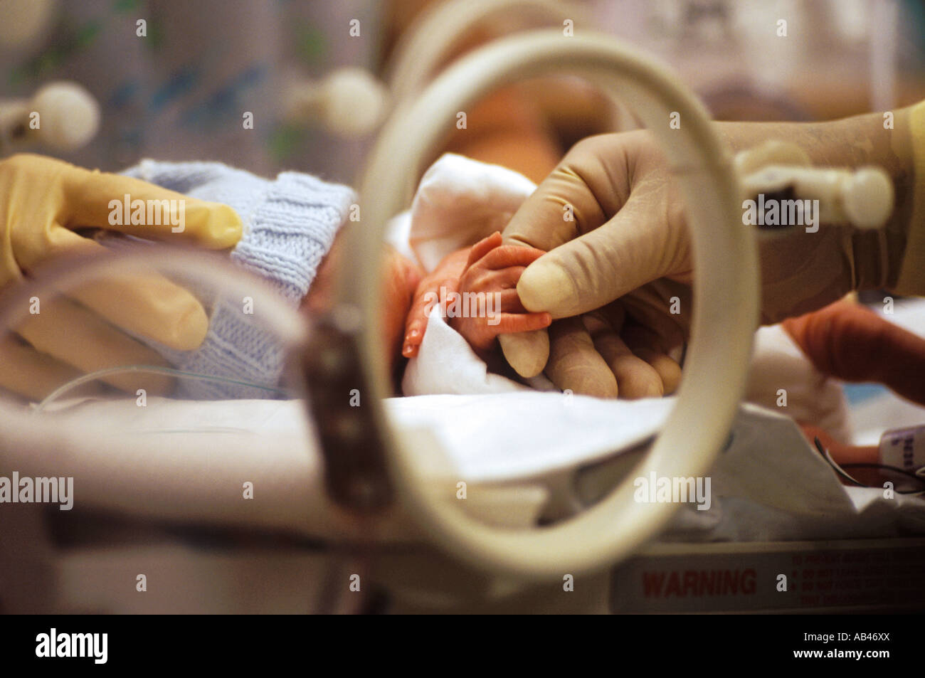Infant baby hand in Neonatal unit of hospital is held by a doctor Stock ...