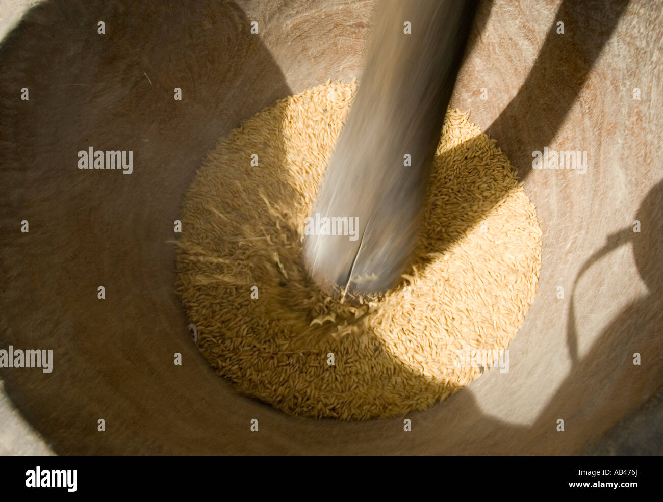 Traditional wooden beaters poundi flying rice in wooden basin Berending ...